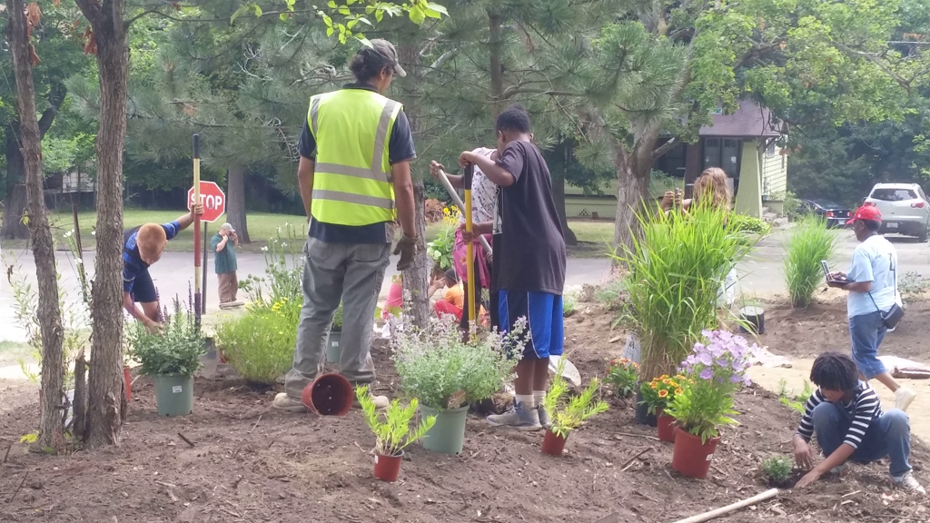Butterfly Habitat Takes Flight | Mahoning County Land Bank